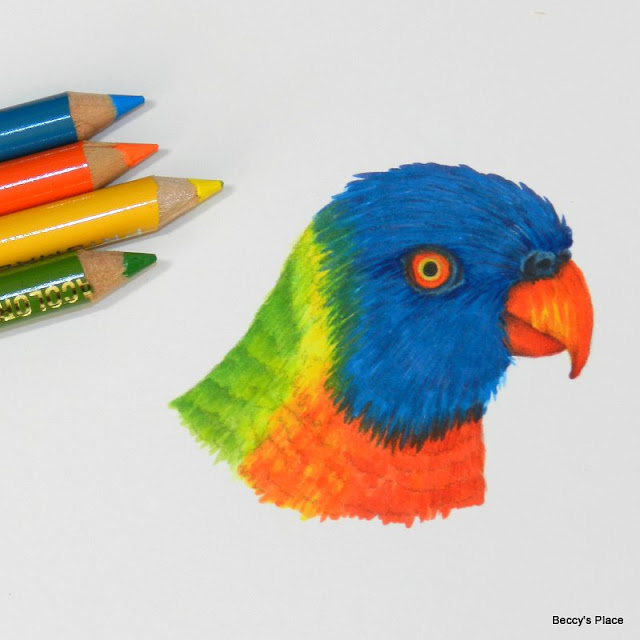 Beccy's Place: Colouring the Lorikeet
