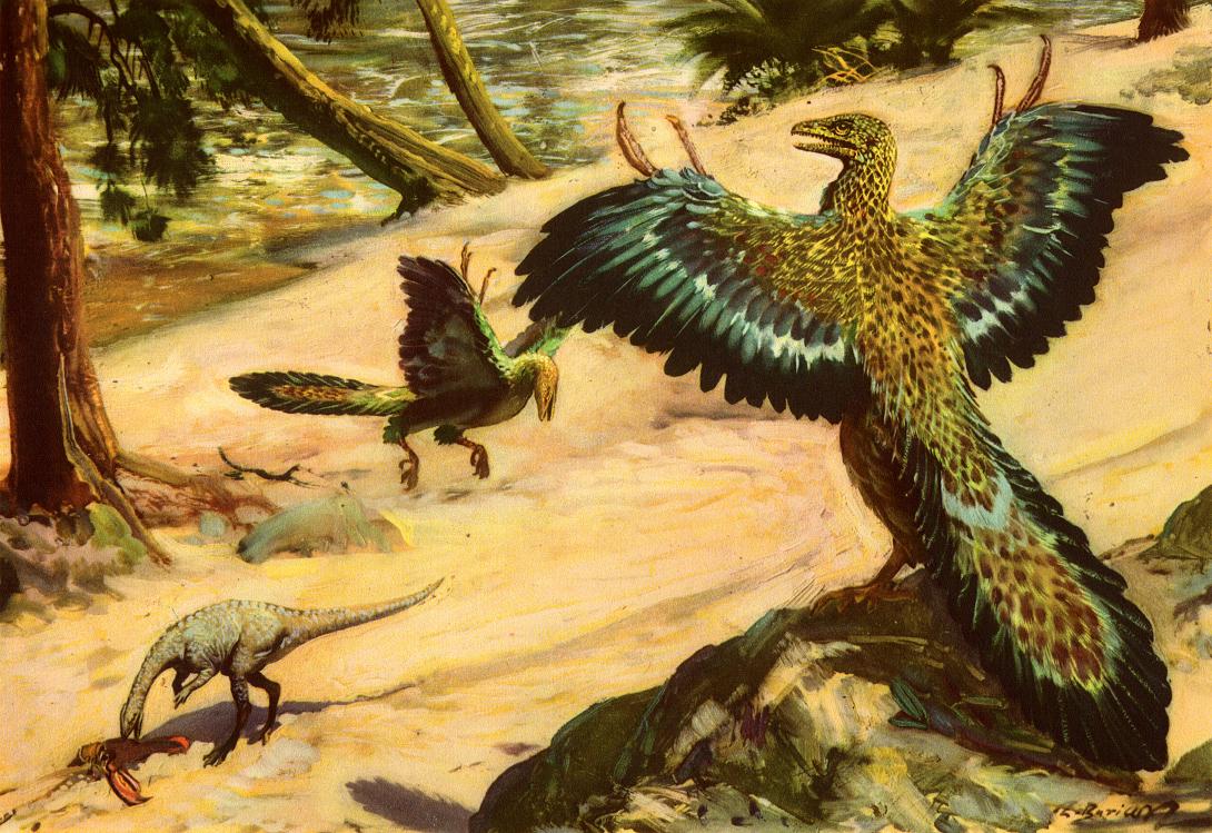 AGATHAUMAS: Archaeopteryx lithographica 1861-2011