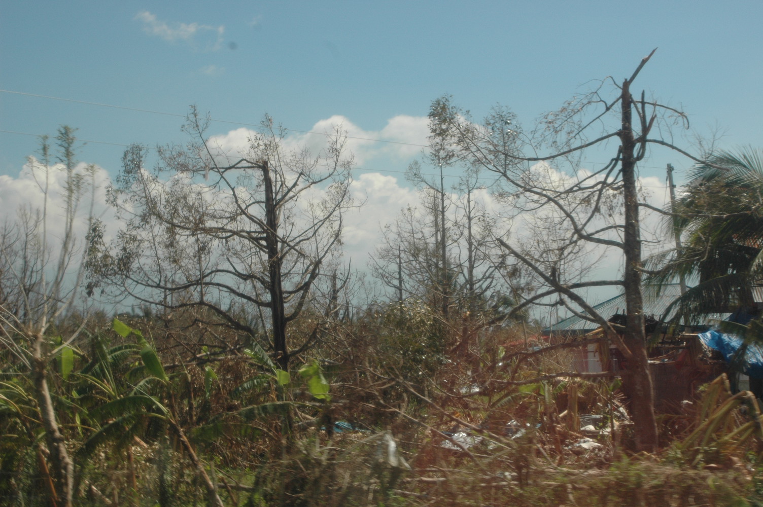 Mater et Puer Foundation, Inc.: Super Typhoon Pablo: The Aftermath ...