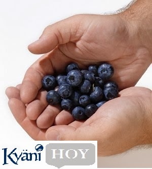 Kyani Hoy