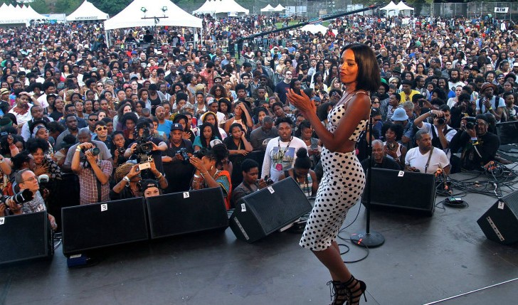 AFROPUNK Fest - August 2023 - 365 Festivals :: Everyday is a Festival!