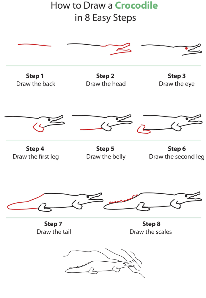 How to Draw Crocodile - How to Draw Animal