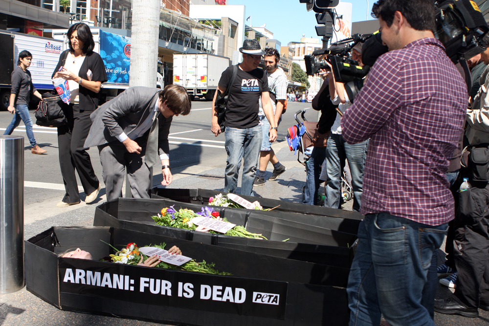 Celebrity News Media: PETA 'Fur Is Dead' coffin stunt aimed at Armani ...