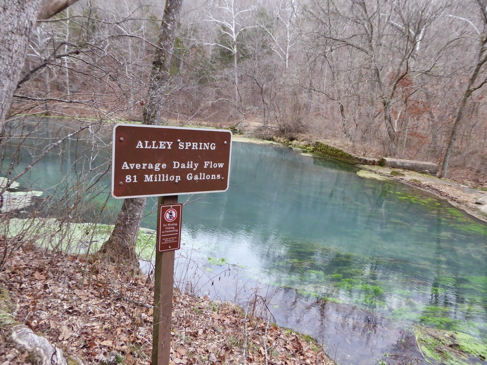 How Deep Is Alley Springs at Catherine Fletcher blog
