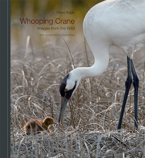 Texas A&M University Press: 2011 University Press Books for Public and ...