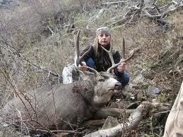 Funny fat deer images ~ unique animal wallpapers