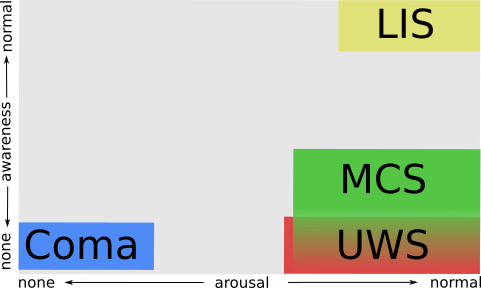 Disorders of Consciousness (DOC)