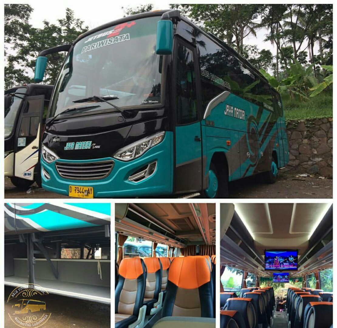 Aziz Tour And Travel: Armada Medium Bus