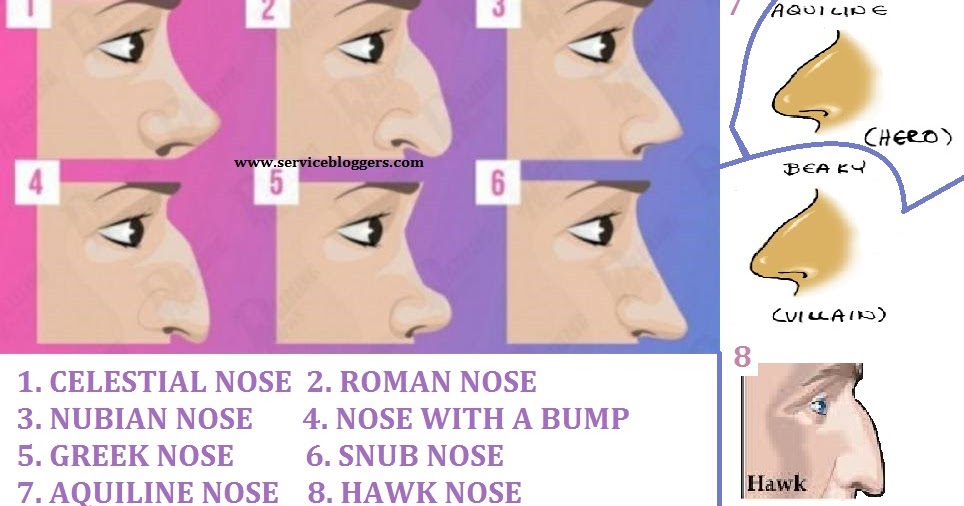 14 different nose shapes - luabank
