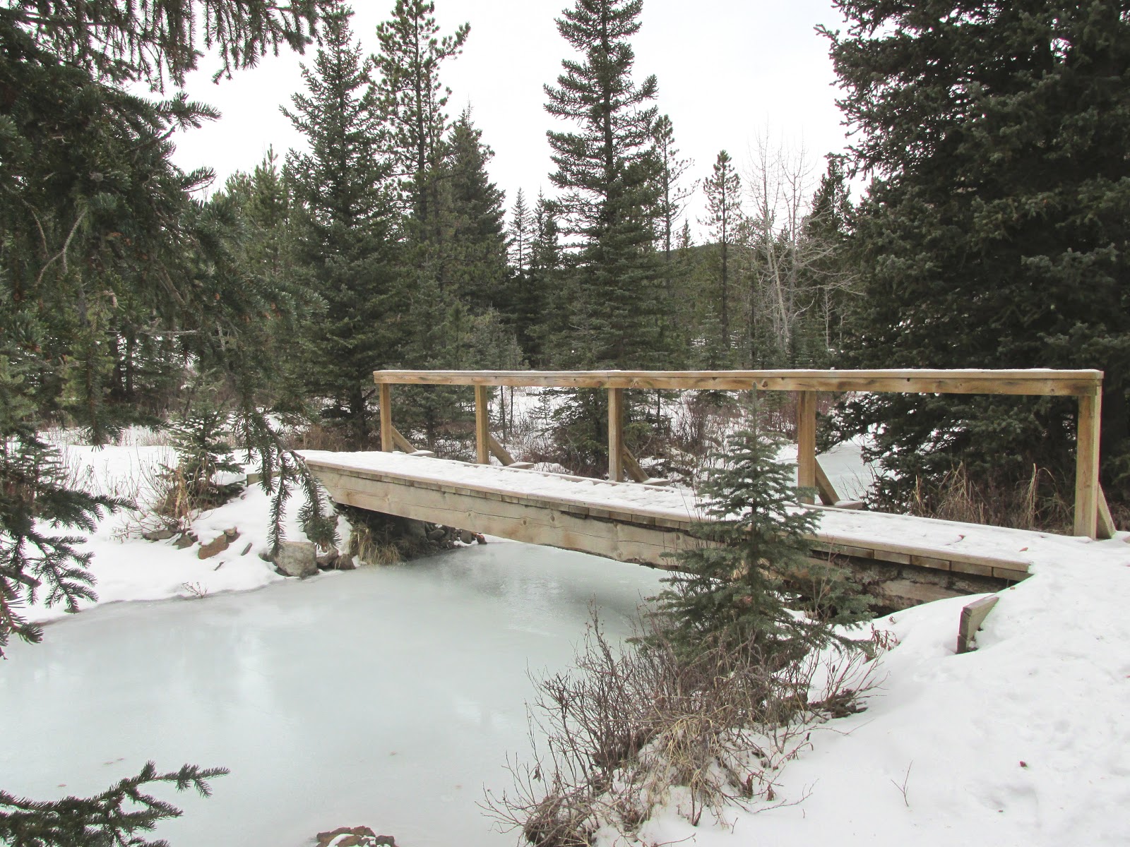 The Passionate Hiker: South Volcano Ridge