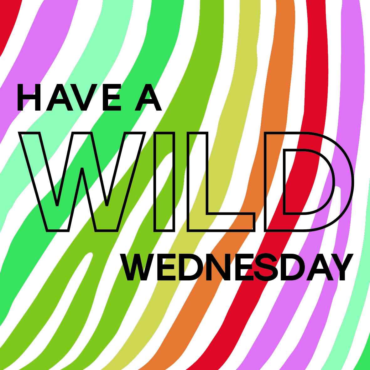 Uniko Studio: WILD Wednesday!