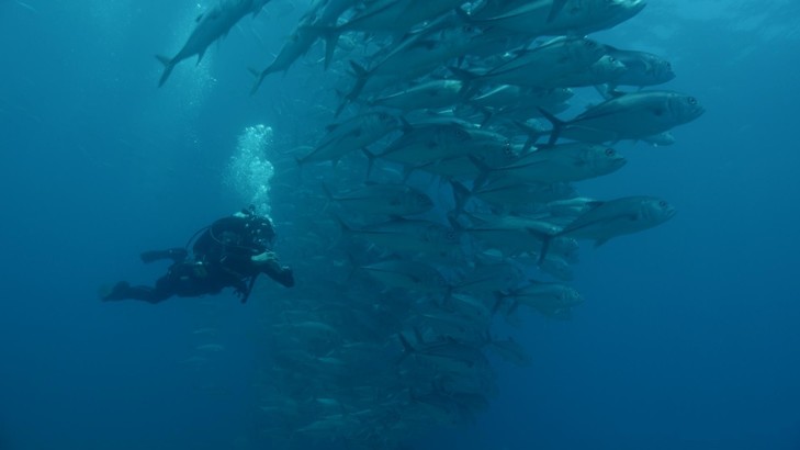 frenchtouch2: Sur le Front : nouvelle série documentaire ambitieuse et ...