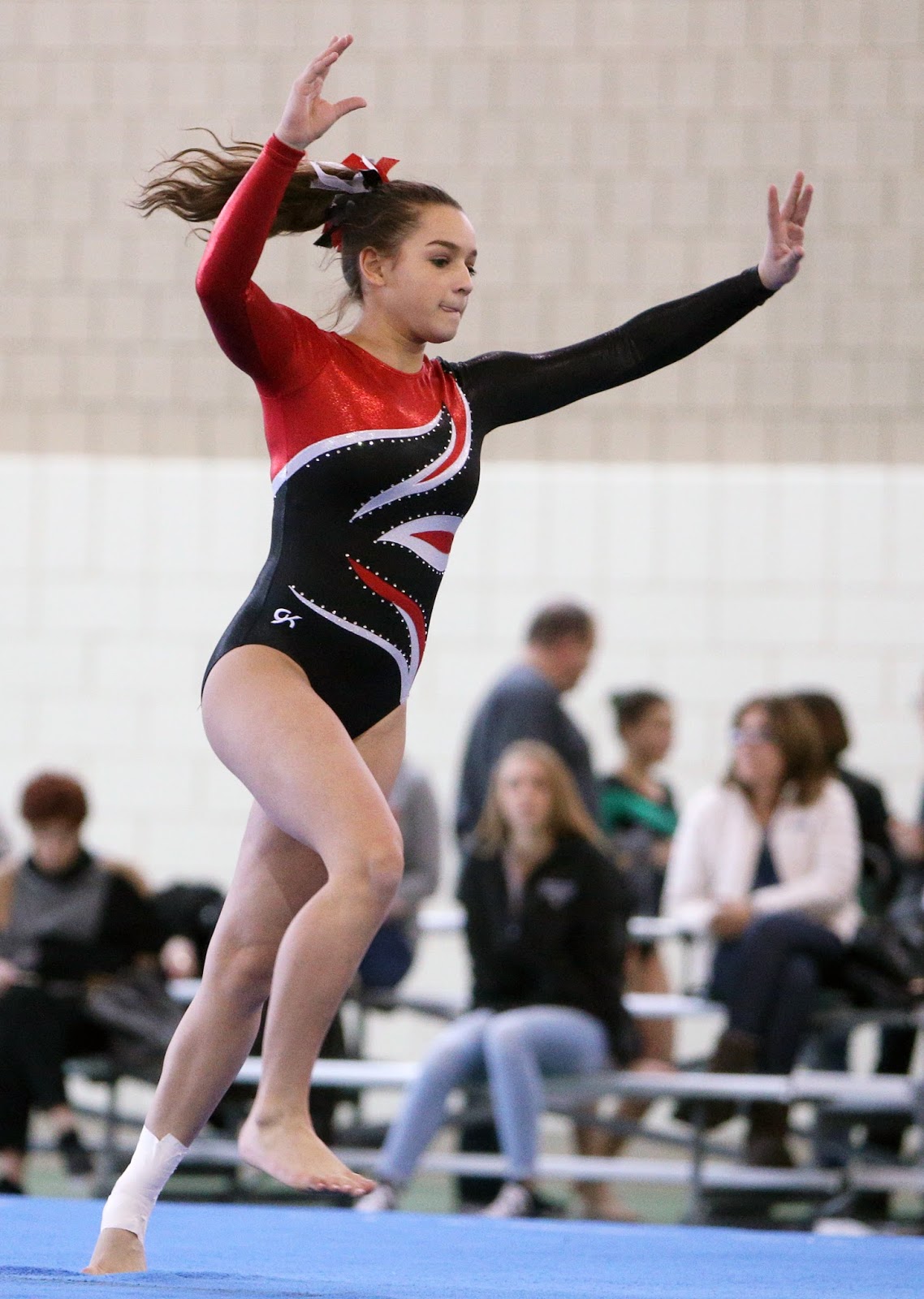 Mark Kodiak Ukena: IHSA Lake County Girls Gymnastics at Stevenson