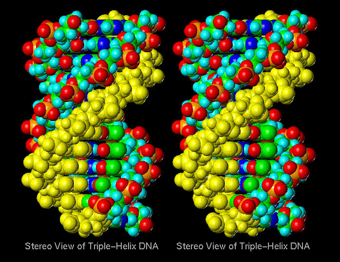 ḼїδβӚϯЧ ᴙ ⱥ ¶ ¶ ¶ ¶: “INVESTIGACIÓN SOBRE LAS FORMAS DEL DNA”