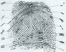 Marcas y Huellas: Concepto de marca y huella