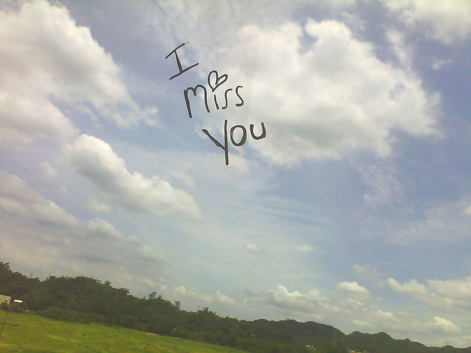 strawberry avalanche*: The seedling diary. I miss you. sunshine love!