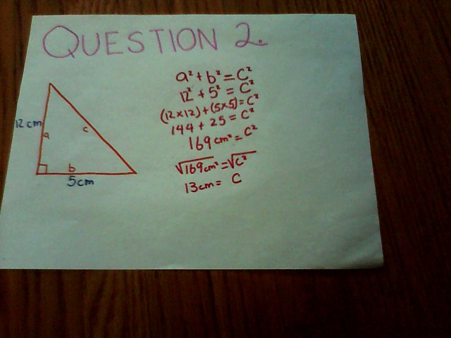 814 Math Blog (2011): Melina's Square Root Scribe Post.