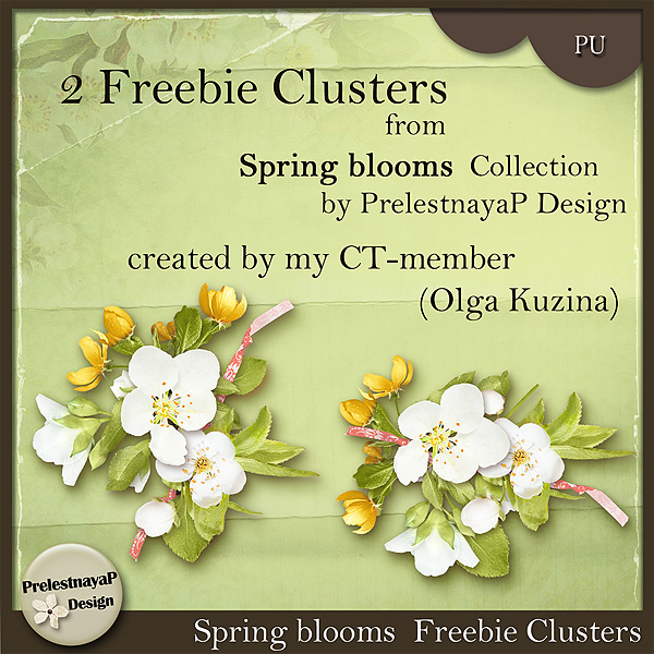 New Freebie - 2 Spring blooms clusters by PrelestnayaP Design ...