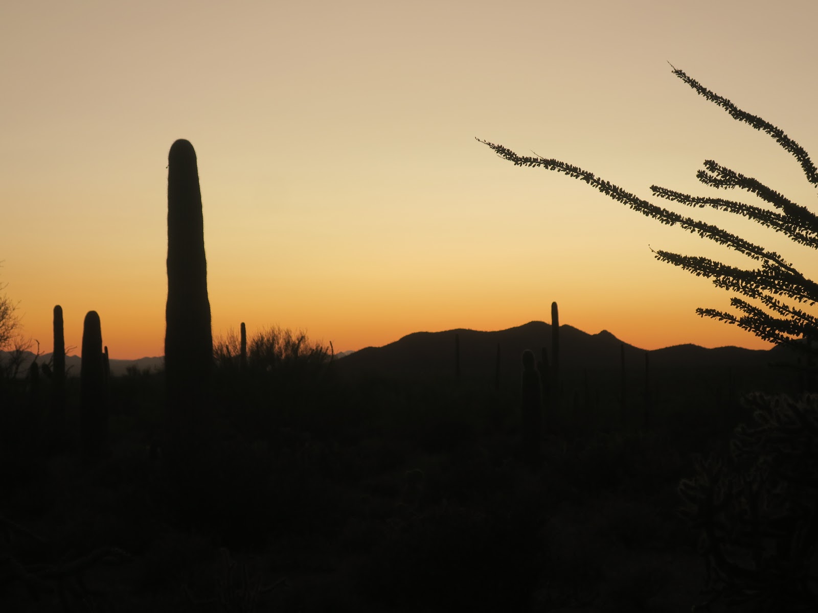 Living Rootless: Tucson, AZ: Sunset at G5
