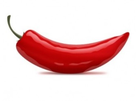 Birds Talking Too: Infinity Chilli