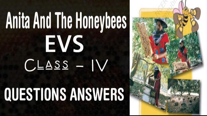 Anita And The Honeybees Class 4 EVS Chapter 5 Questions Answers Anita And The Honeybees Class 4 EVS Chapter 5 Questions Answers