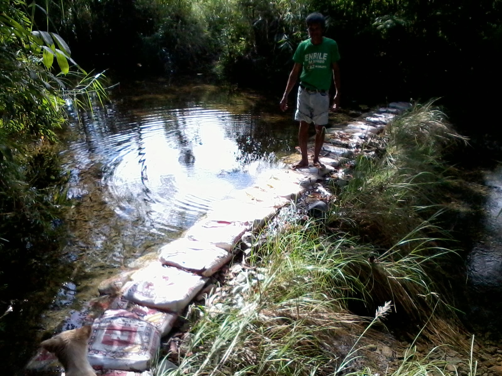 Sustainable Development: Water Impounding and Irrigation