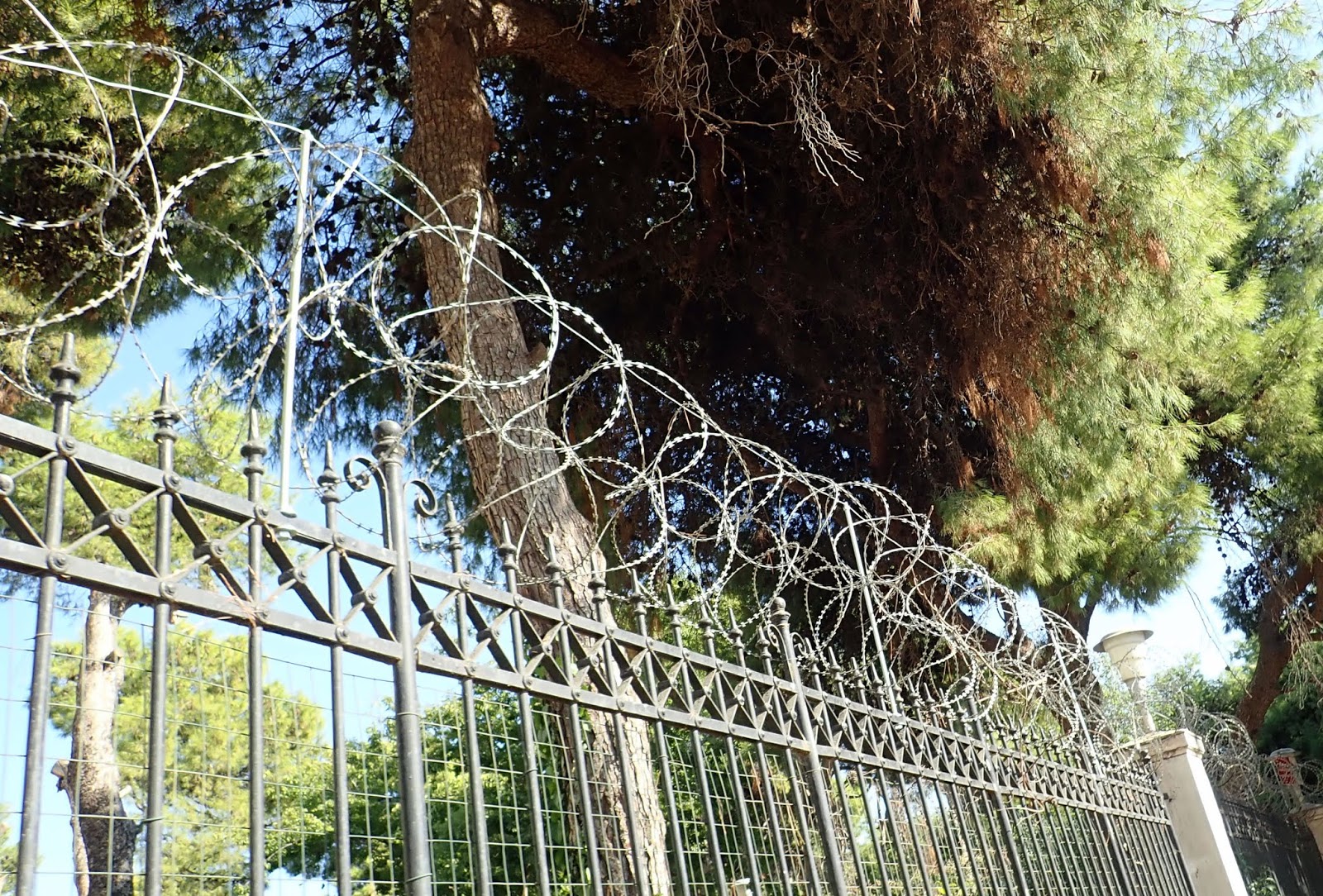 EΛΛΗΝΙΚΟN ΕΘΝΙΚΟ ΚΟΙΝΩΝΙΚΟ ΚΑΘΙΔΡΥΜΑ