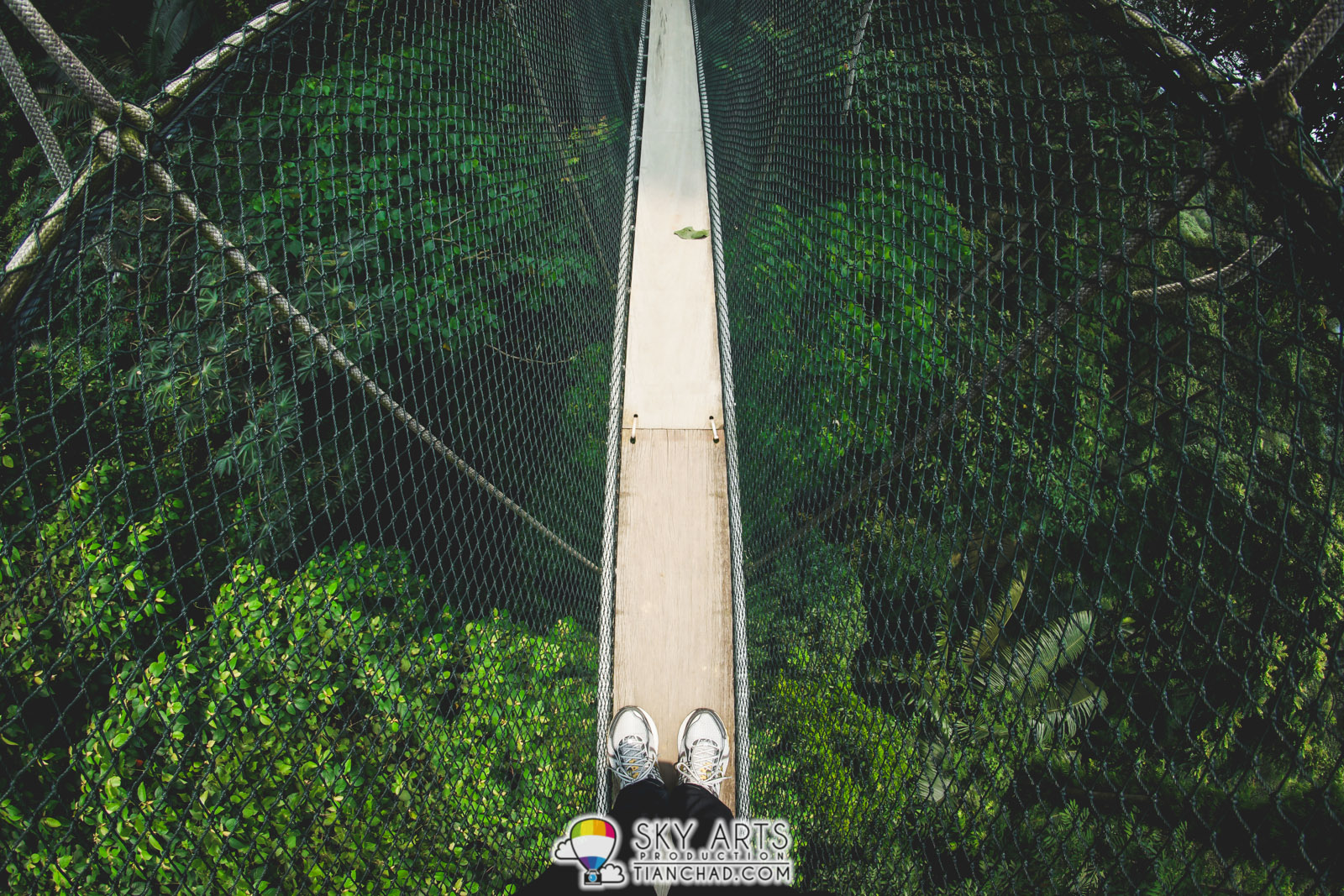 7 Things To Do In FRIM Kepong - Canopy Walkway, Jogging & Nature Trekking