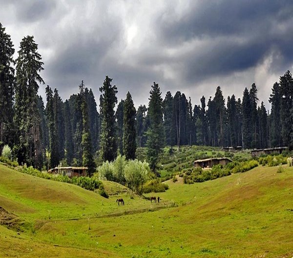 Best Places in Kashmir, Tourist Places In Kashmir | Travel The ...