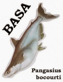 Julie Ann Brady : Blog On: Basa Fish Recipes - Info and Tips