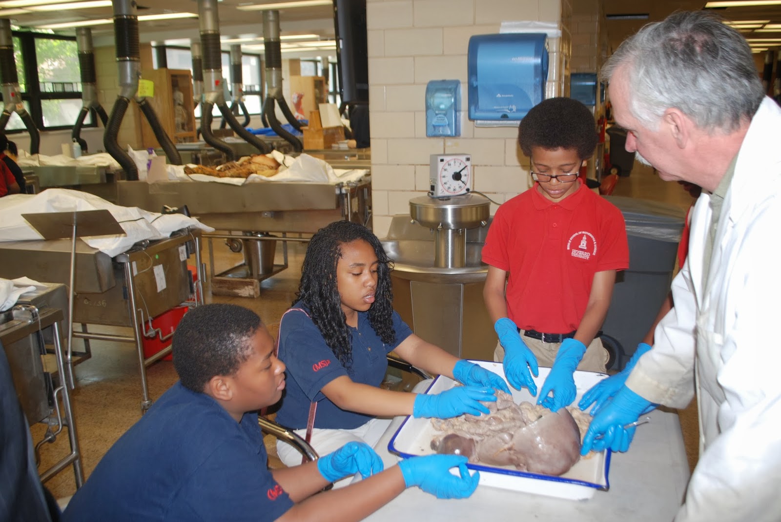 Global Stem Initiatives