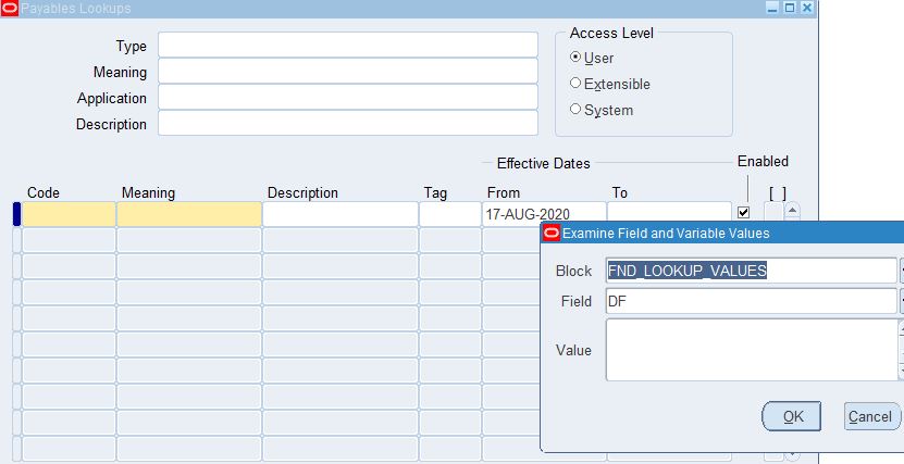 Oracle Application's Blog: How to enable dff in lookup