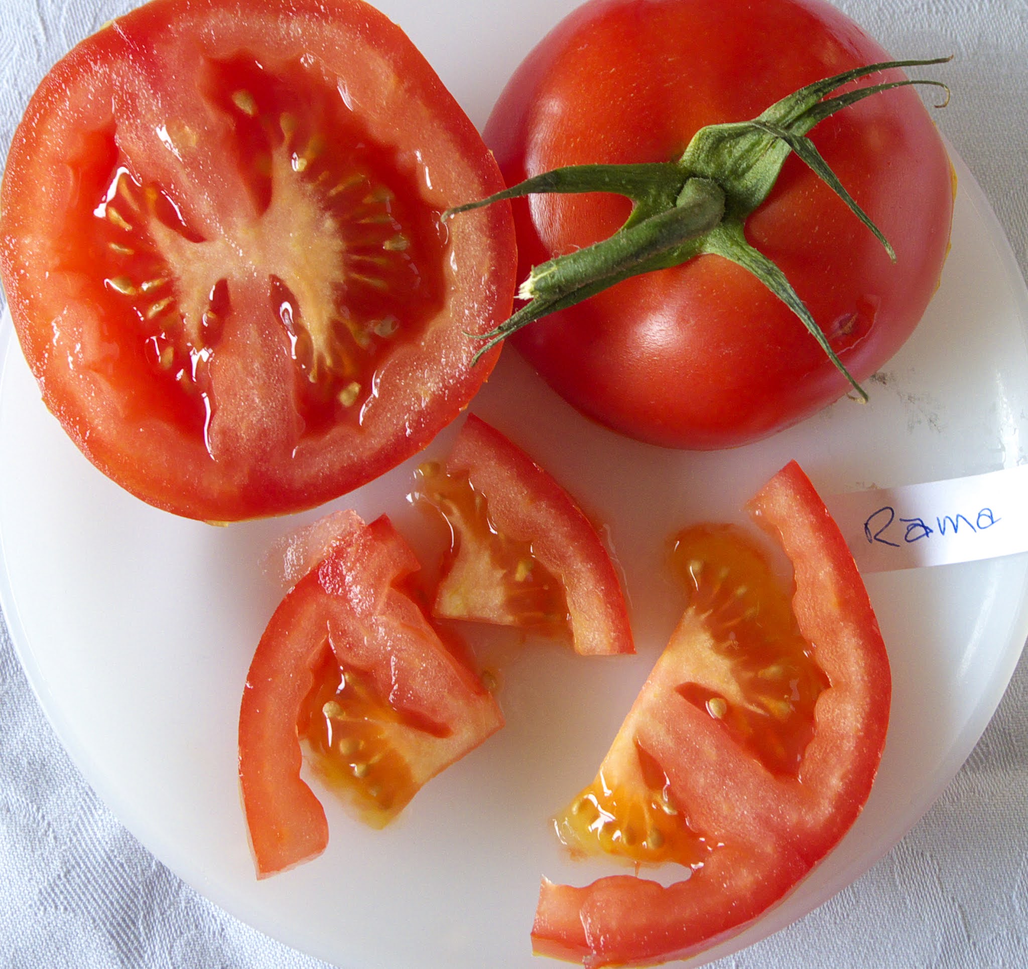 MY KITCHEN IN SPAIN: SEARCHING FOR THE BEST TOMATO