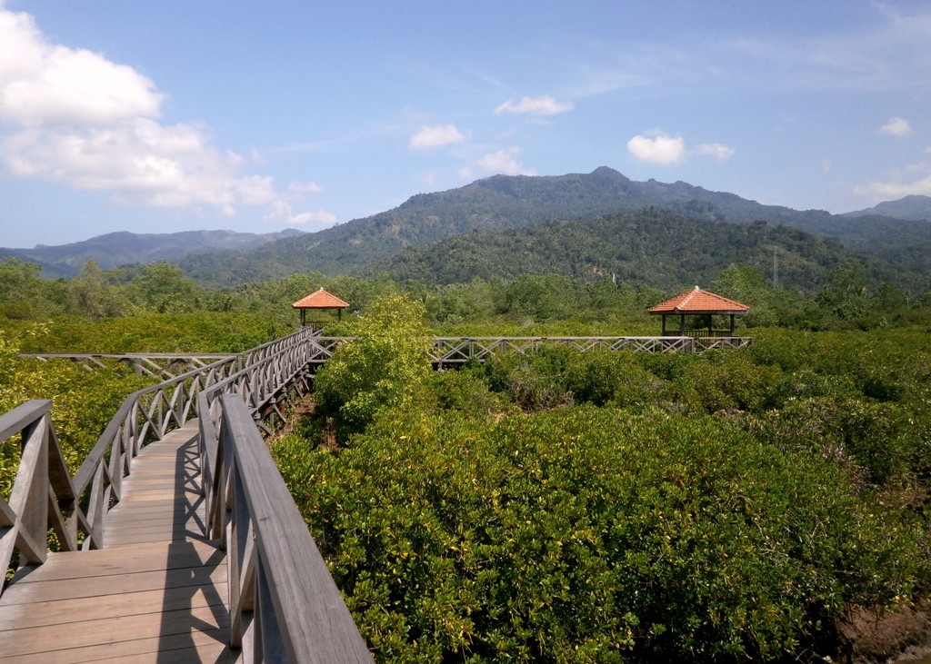 Indahnya jembatan cengkrong ~ amanunur