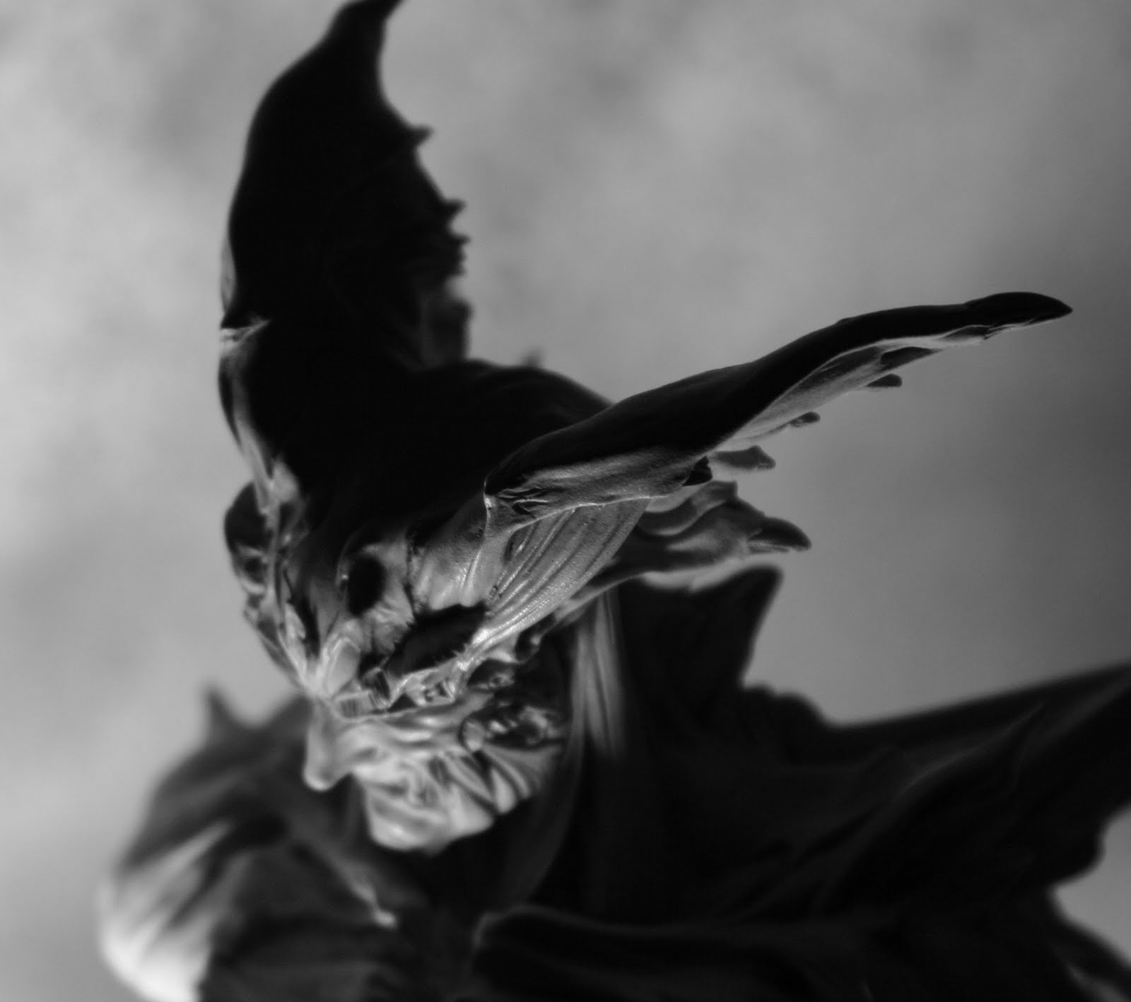 THE SEPULCHER: August 2011