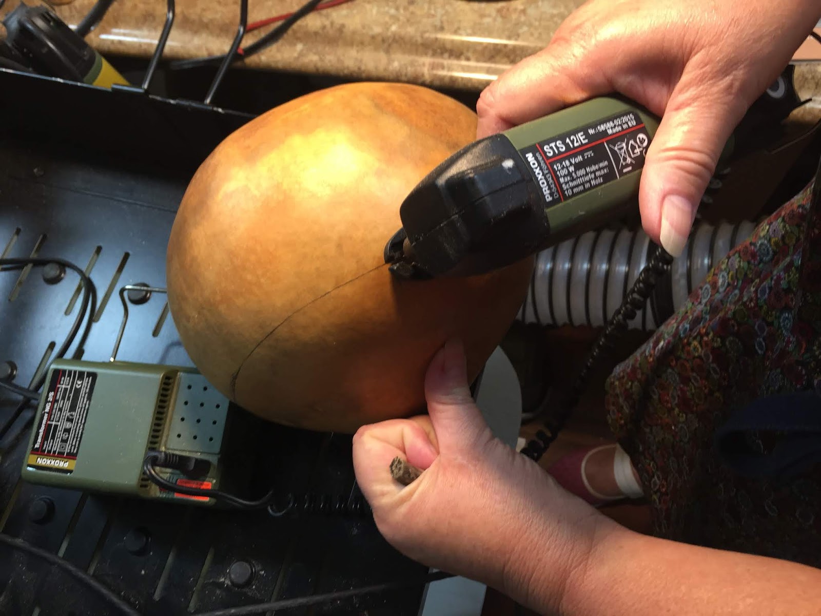 Tiny Tool Time: Gourds made easier with Proxxon Tools!