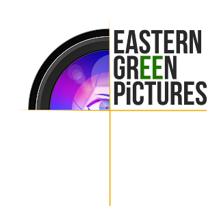 LOGO Design for Eastern Green Pictures - Ground Floor Creators