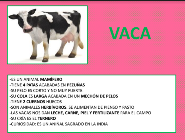 APRENDO EN CASA: INFANTIL 4 AÑOS/ LA VACA