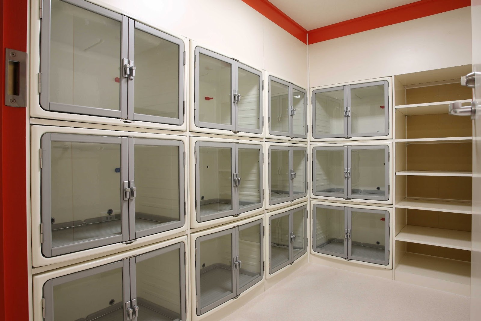 Japan's "Unique": Human Dignity