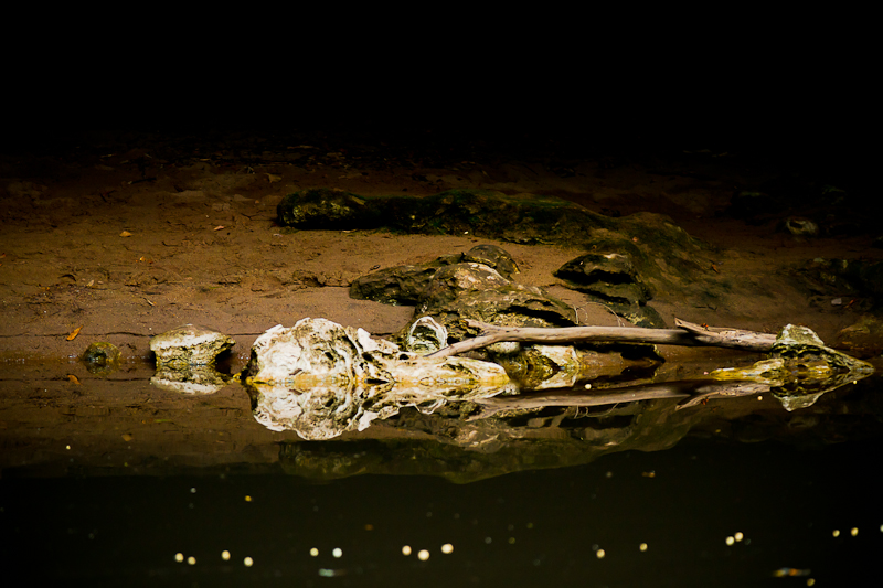 actionpactpix: Den of Nargun - Very Low Light Shoot