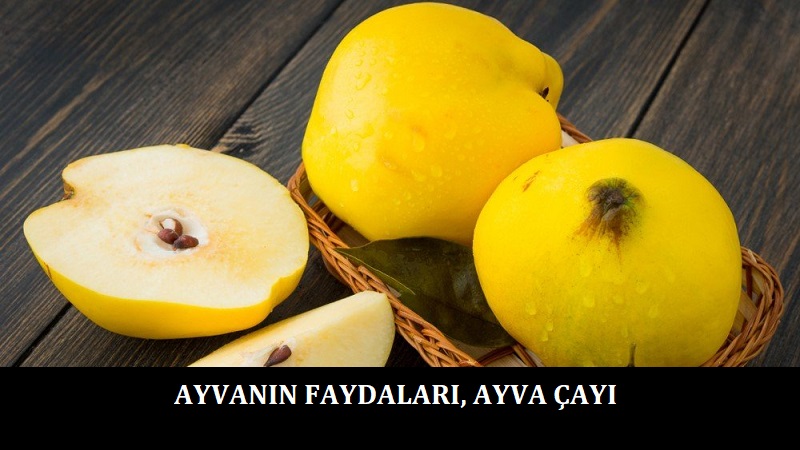 Ayvanın Faydaları Nelerdir, Ayva Çayı Nasıl Yapılır