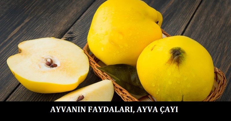 Ayvanın Faydaları Nelerdir, Ayva Çayı Nasıl Yapılır