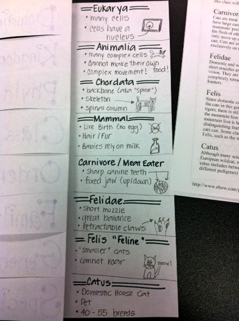 Life in Middle School: Animal Classification Foldable