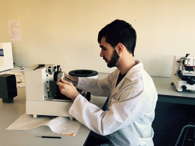 PROCESAMIENTO HISTOLÓGICO.: TAREAS HABITUALES DEL TÉCNICO EN ANATOMÍA ...