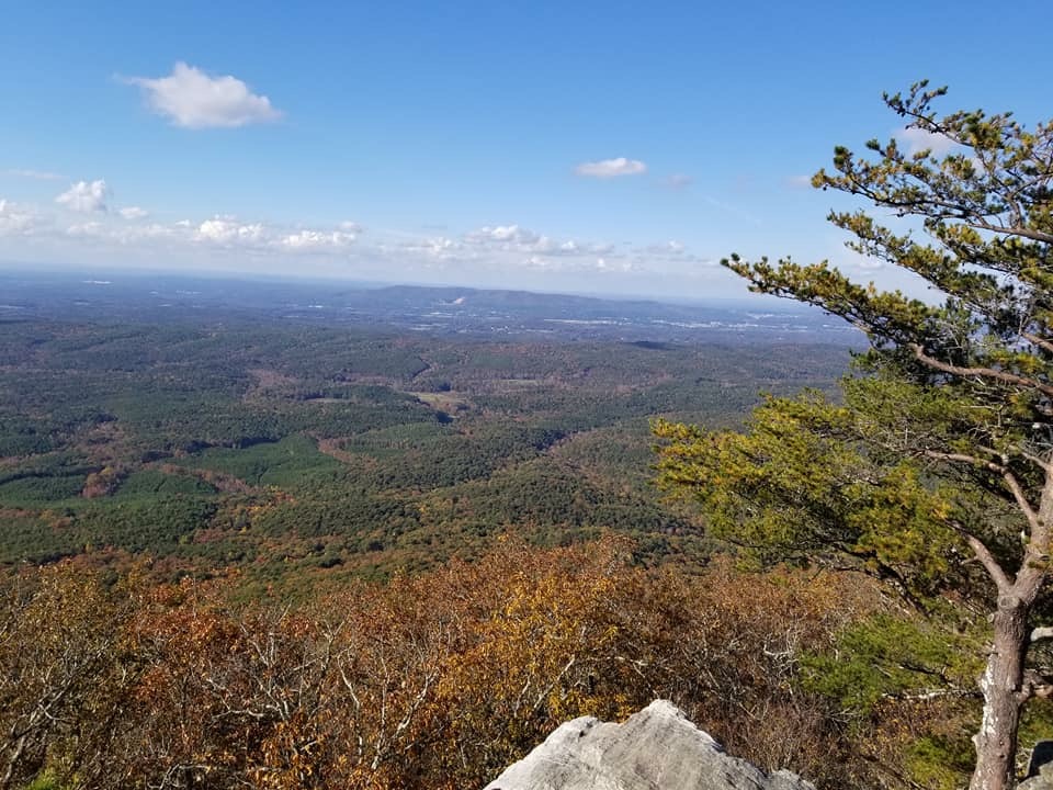 What's Next?: 2017 Pinhoti 100 Race Report