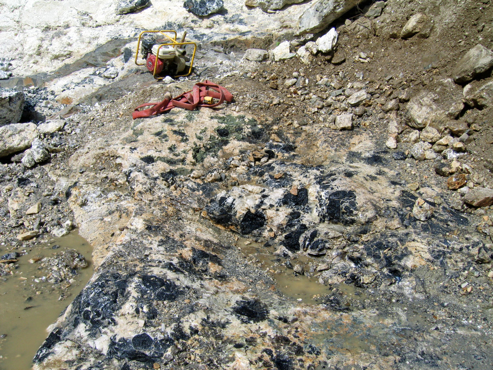 Mining the Havey: Tourmaline Frozen in the Quartz