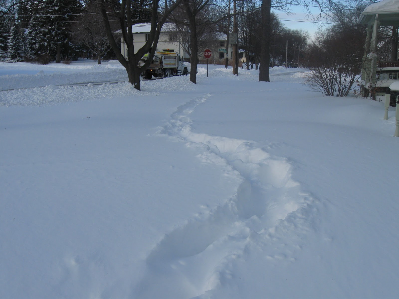 For what it's Worth...: The Blizzard of 2011 and ways to ENJOY snow!