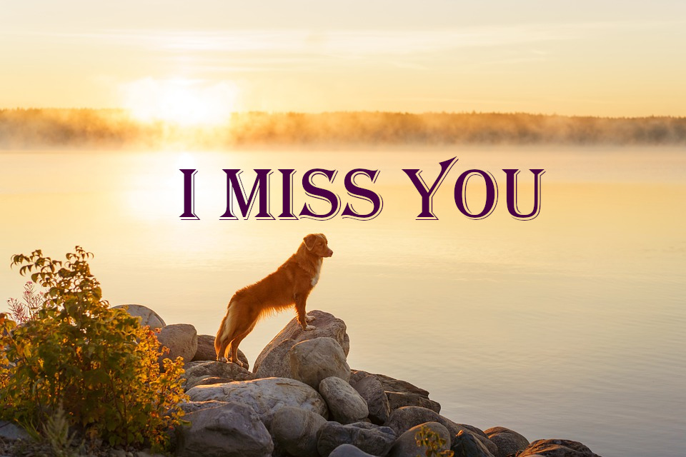 Top 10 I Miss You images, greetings, pictures for whatsapp ...