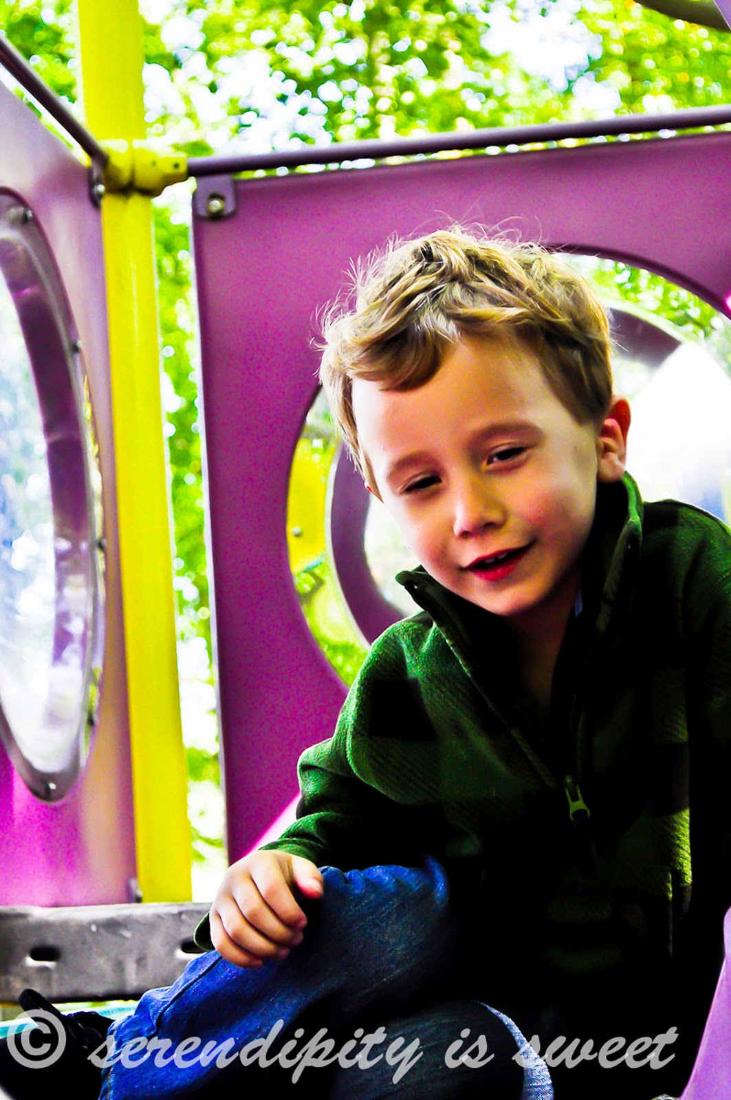 Serendipity is Sweet: Sunday Snapshots - Fun at The Park