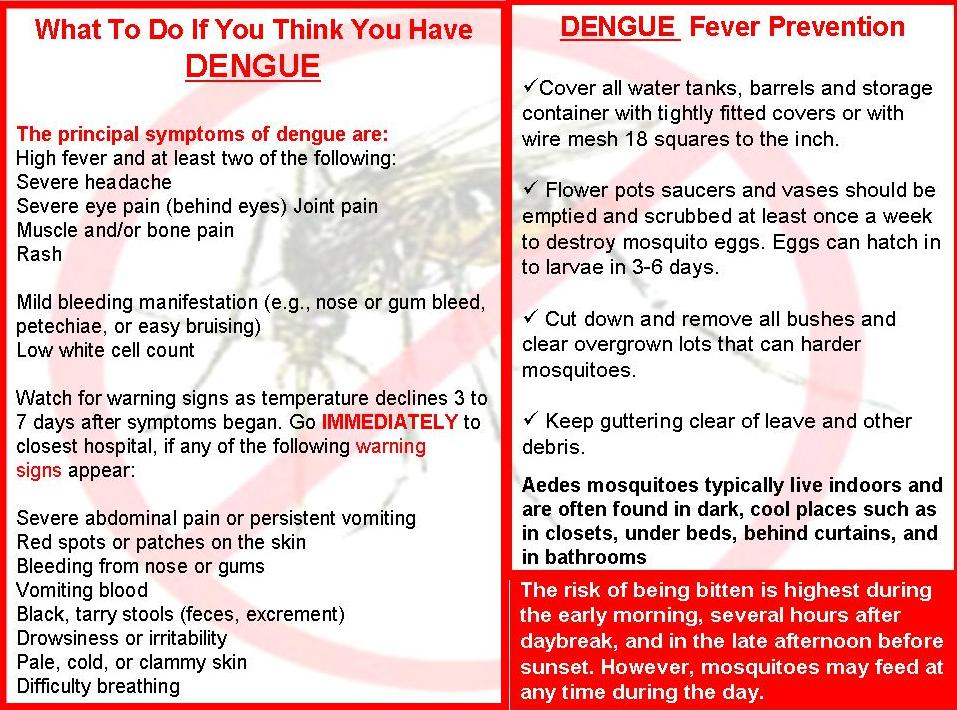 Farrukh Siddiqui: “Dengue Fever" : Prevention is better than cure. Pakistan